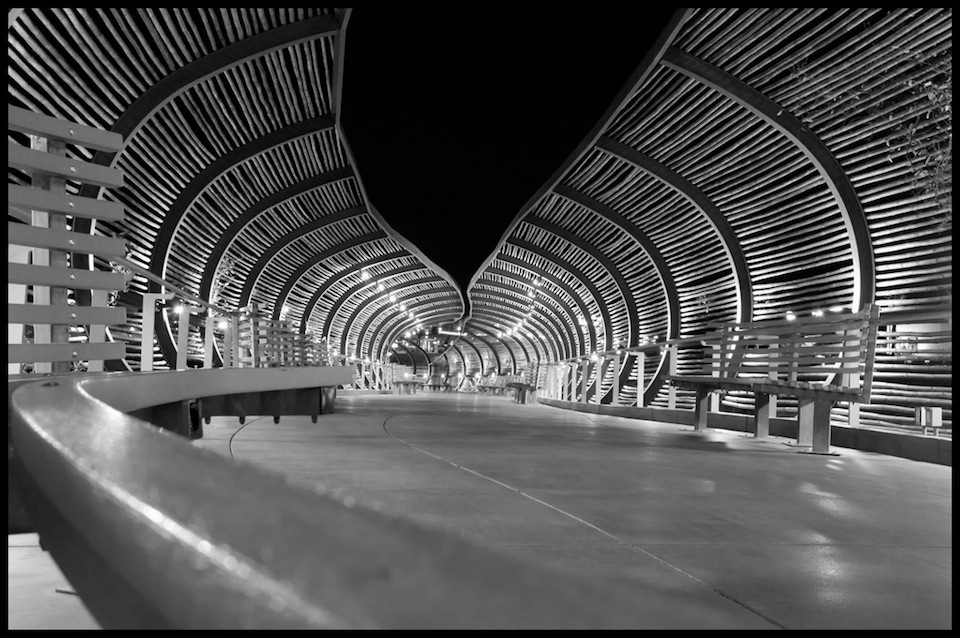 Japanese Bamboo Bridge | Red Dot Forum