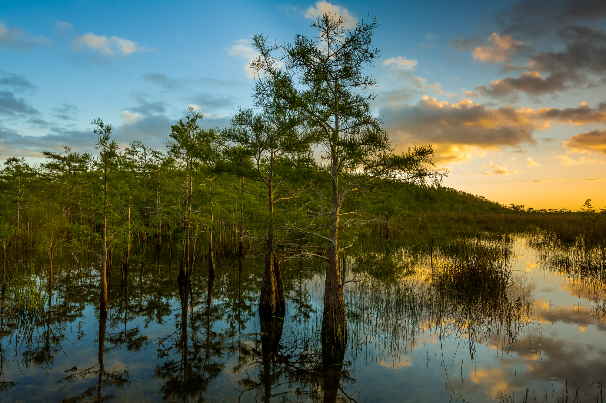 Images from Florida Keys and Everglades Photo Adventure | Red Dot Forum